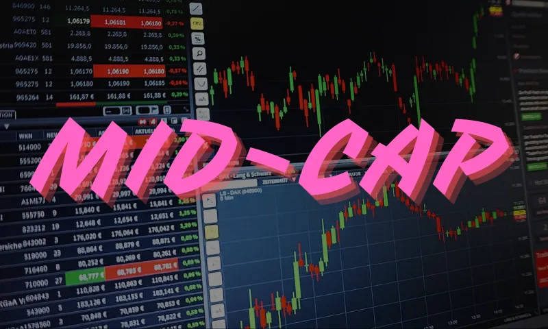 What are Mid-Cap Stocks - OttaKarandi